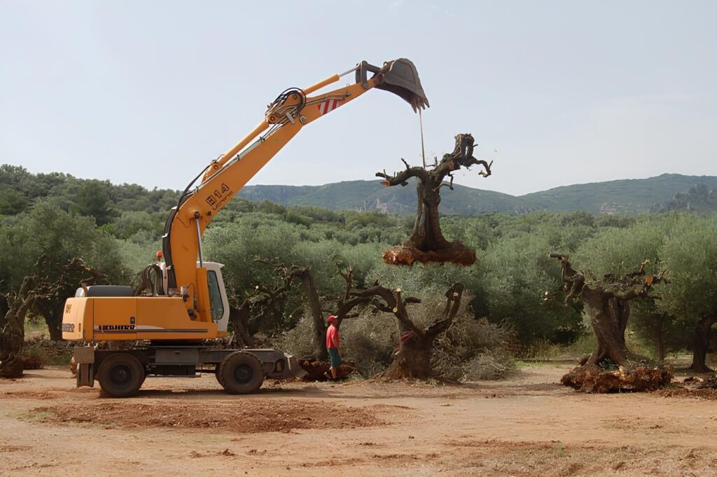 Prof. Dr. Tümen: “İklim değişikliği kapımıza dayandı, düşük ...